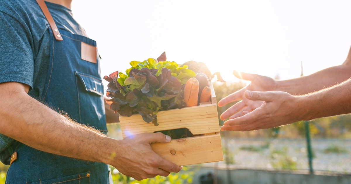 CHEZ SEB’ – Fruits de saison à Brest